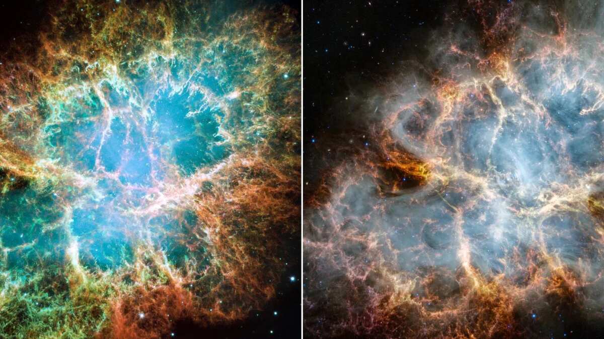 Oh, Crab! James Webb reveals never-before-seen details of Crab Nebula - Science News
